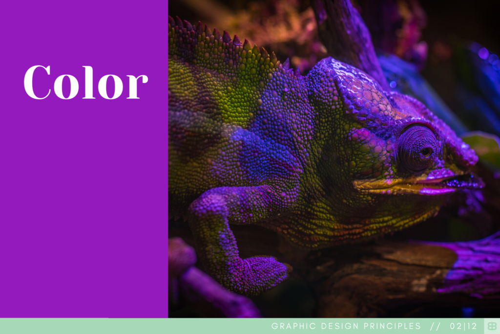 Color - Ben Bauer Creative